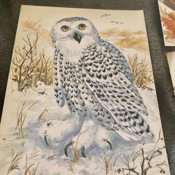 Other | Vintage John Cornacchio Lot Of Blank Note Card Of All Different ...